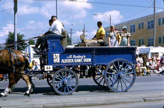 Provincial Archives of Alberta - A Question
